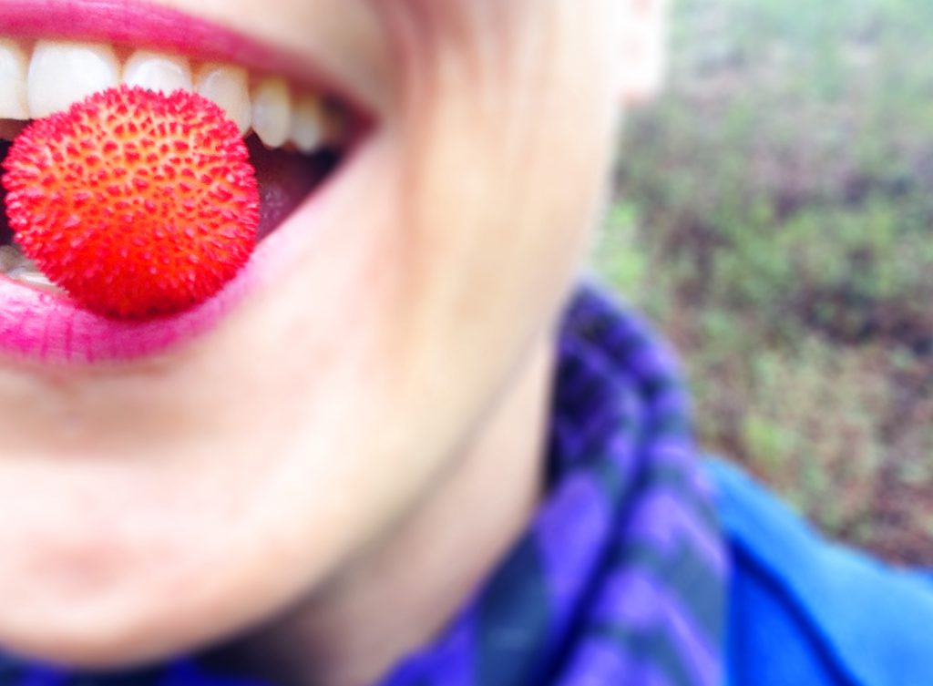 Into the wild - Delicious High-Vibe Plant Cuisine